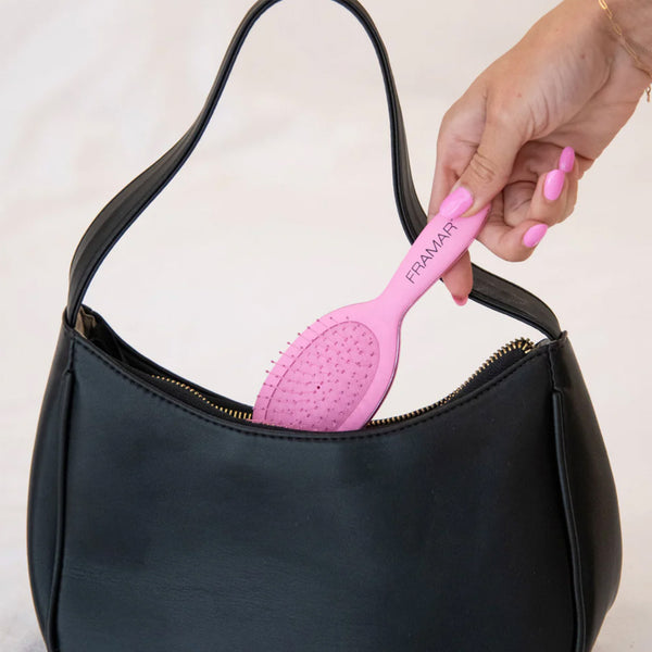 Framar Mini Detangle Brushes & Cleaner Travel Combo - 2 Brushes & 1 Cl ...